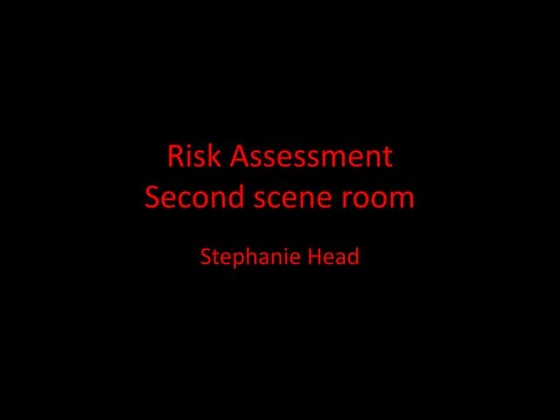 Sophie risk assessment | PDF