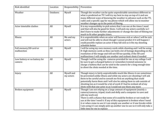 Music video Risk Assessment | DOCX