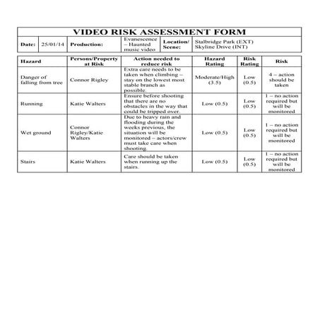 Risk Assessment | PDF