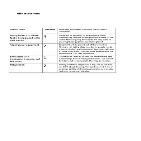 Risk assessment | DOCX