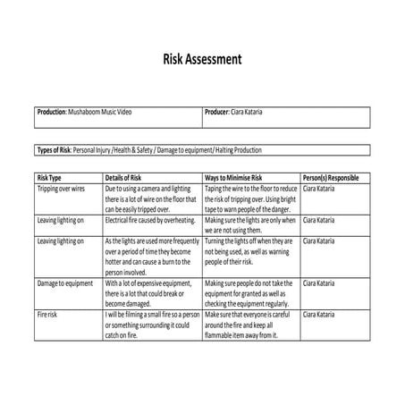 Risk assessment | DOCX