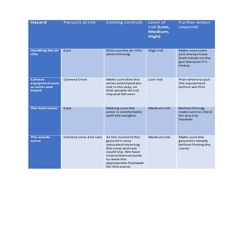 Risk assessment | DOCX