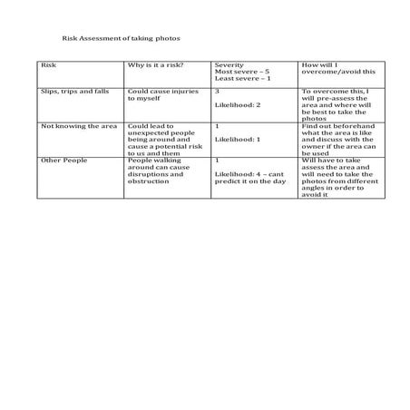 Risk assessment | DOCX