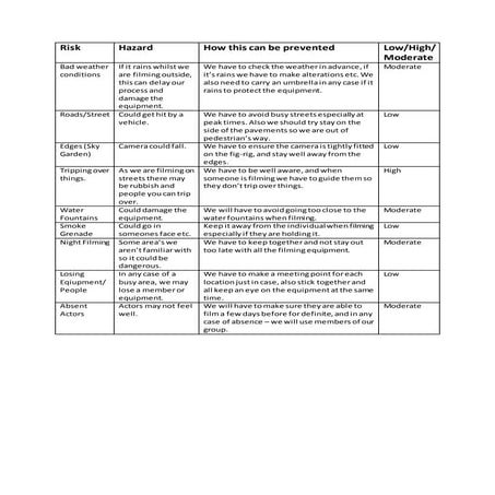 Risk assessment | DOCX | Cameras and Camcorders | Consumer Electronics