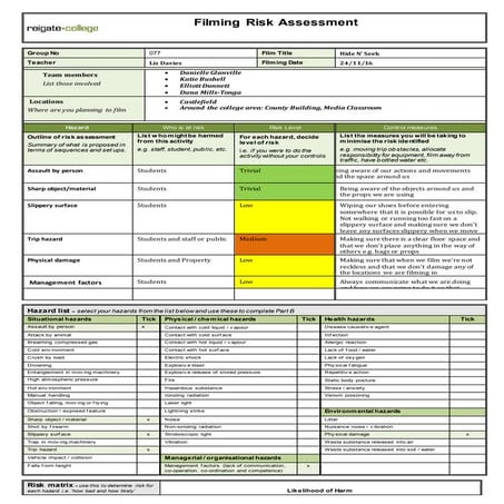 Risk assessment | PDF
