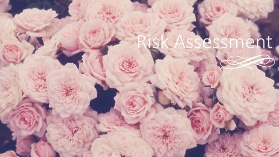 Risk asessment | DOCX | Cameras and Camcorders | Consumer Electronics