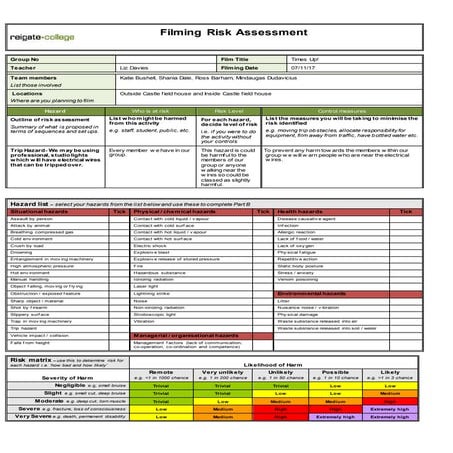 Risk assessment | DOCX