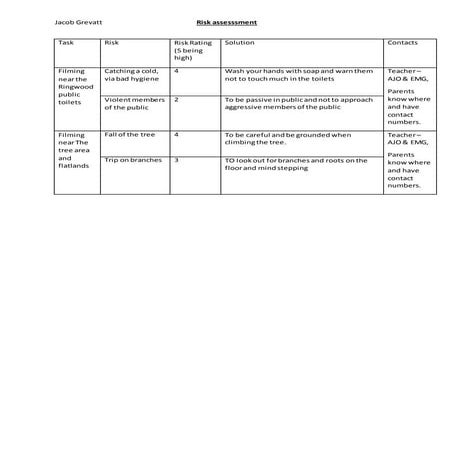 Risk assessment | DOCX