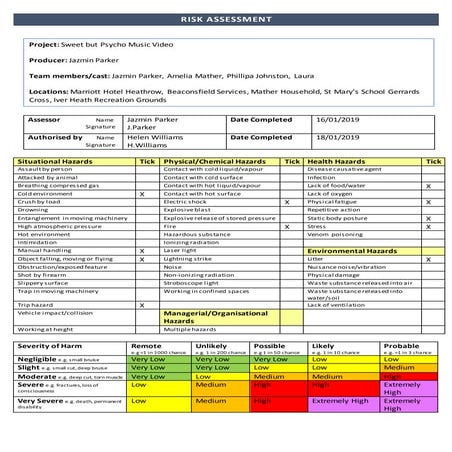 Risk assessment | PDF