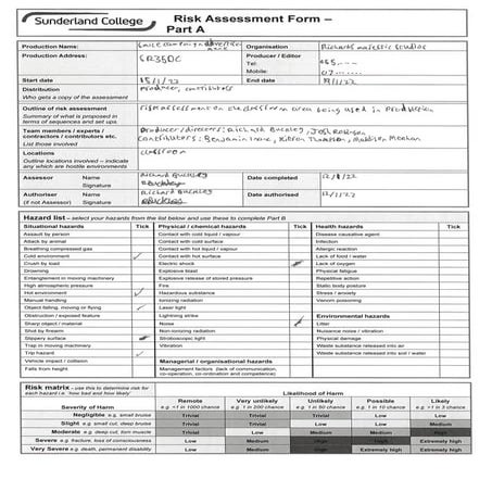Risk assessment | PDF