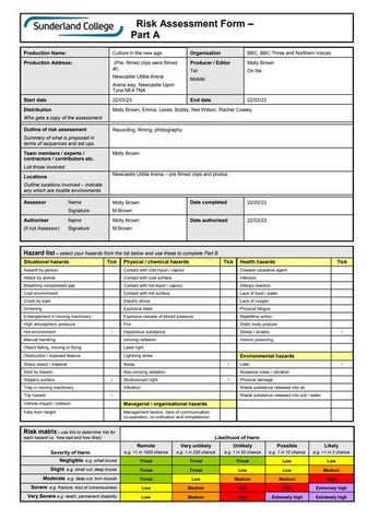 Risk Assessment.docx