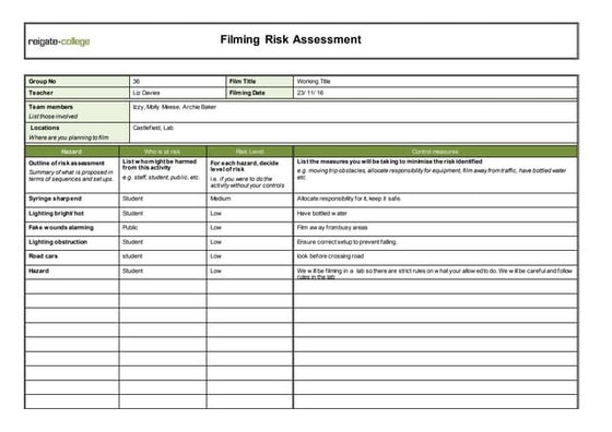 Risk assessment form | DOC