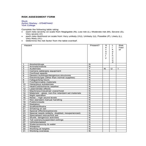 Risk assessment form town | DOC