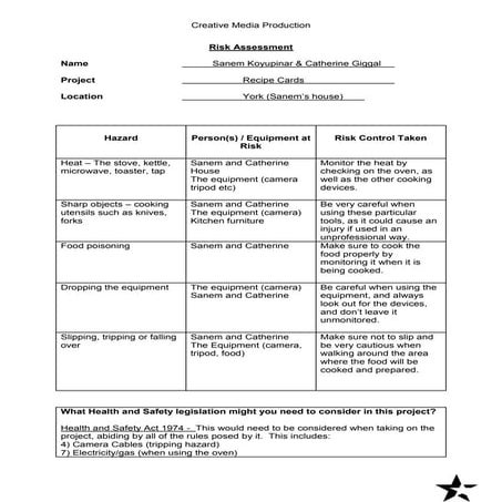 Risk assessment(4) | PDF