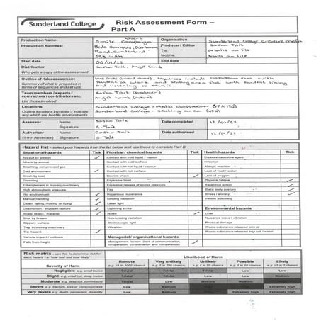 Risk assessment A and B | PDF