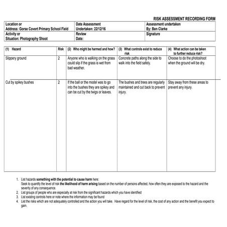 Risk assessment (astro turf) | DOC