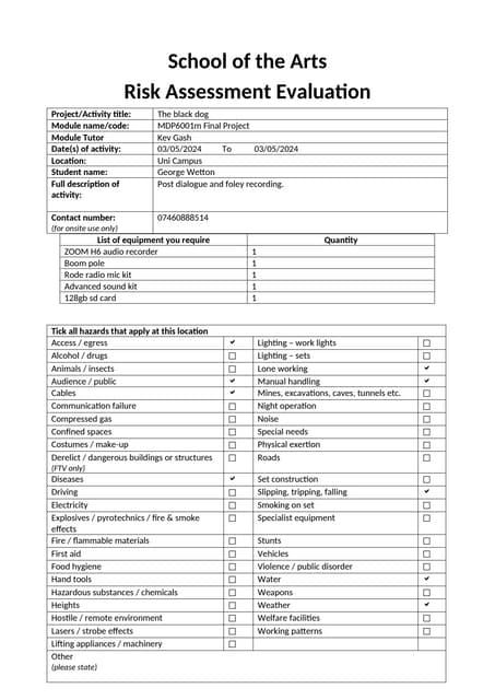 Risk Assessment.docx.................... | PPT