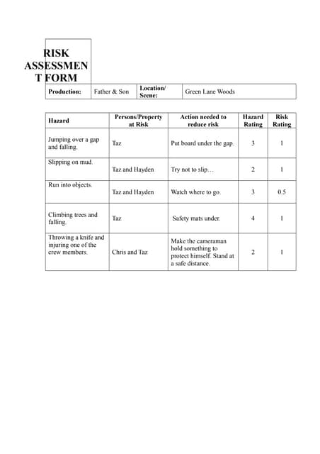 Risk assessment form | DOCX | Arms & Ammunition | Sensitive Topics