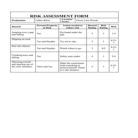 Risk assessment form | DOCX | Arms & Ammunition | Sensitive Topics