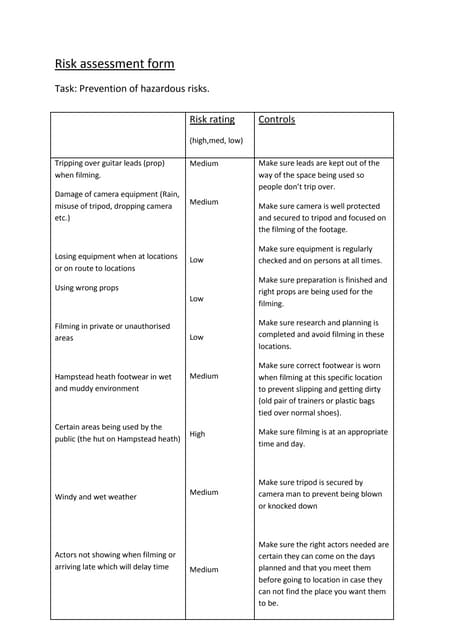 Pp risk assessment_template | PDF