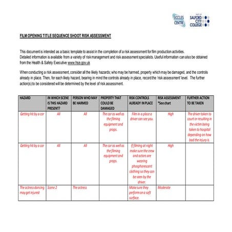 Film production risk assessment | DOCX