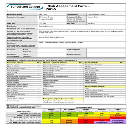 Risk assessment form again | DOC