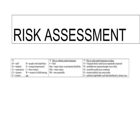 Risk assessment for music mag | DOC