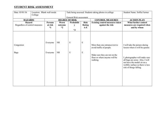 Risk assessment for magazine | DOC