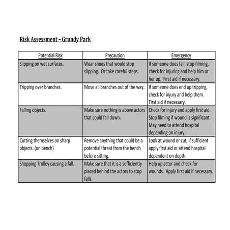Risk Assessments | PPT