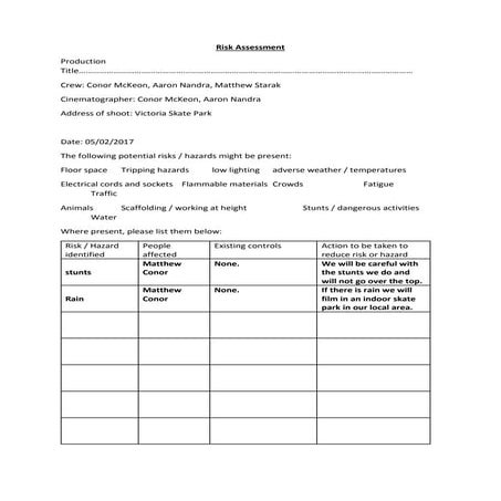 Risk assessment skatepark | PDF