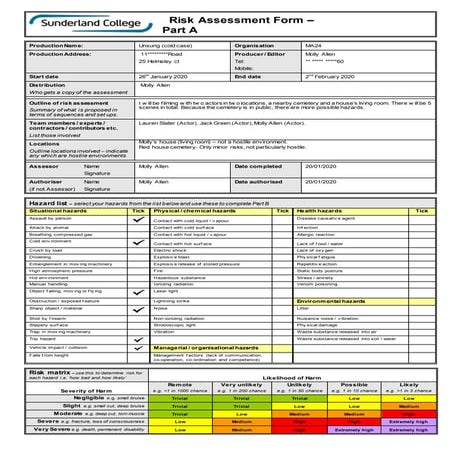 Risk assessment template. copy | DOCX