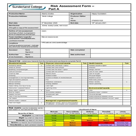 Risk assessment template | PDF