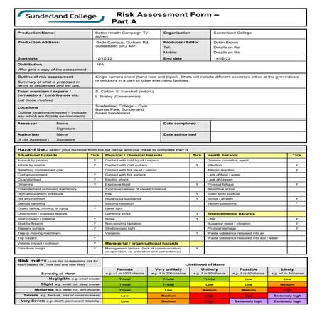 Risk Assessment Template.doc