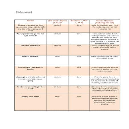Bzzwings Bplan | PPTX