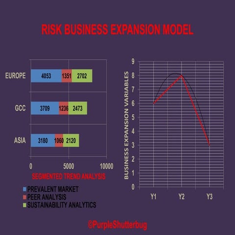 RISK BUSINESS EXPANSION MODEL | PPTX