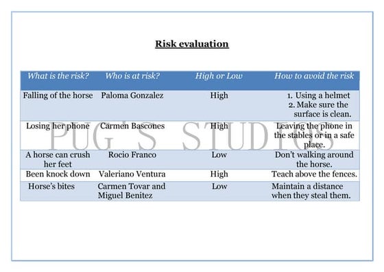 Risk evaluation | PPT