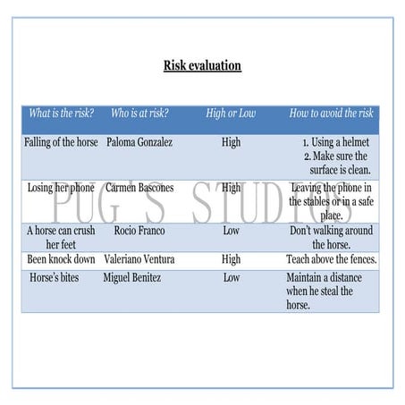 Risk evaluation | DOCX