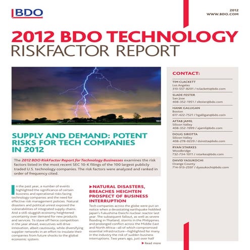 BDO Risk Factor Report
