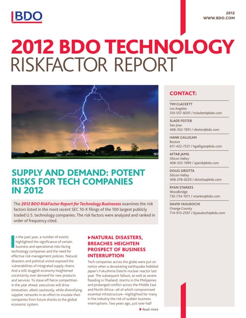 BDO Risk Factor Report | PDF