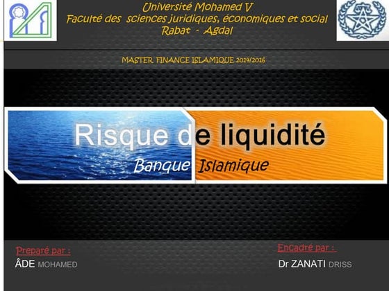 Drsk bloomberg deafult risk | PDF