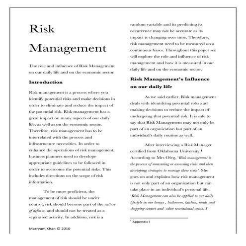 Risk Management | PDF