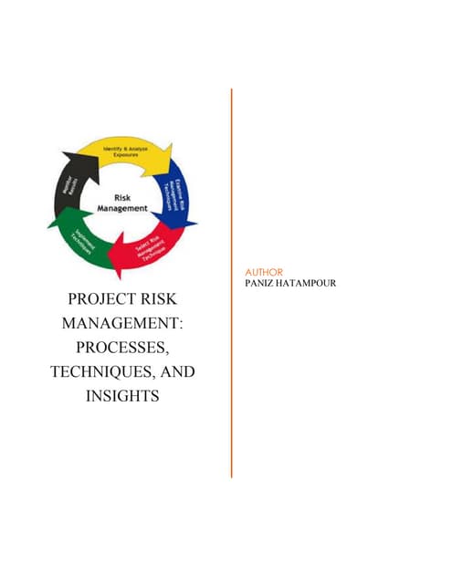 Risk management process | PDF | Business | Business and Finance
