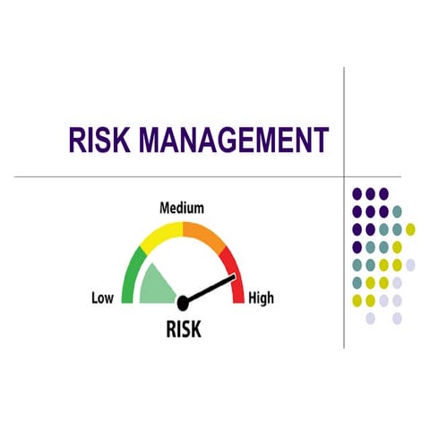 Financial Risk Management and Data Analytics | PPTX