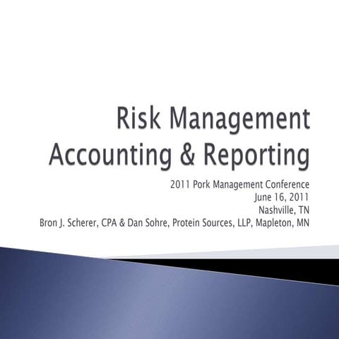 Risk Management Accounting and Reporting | PDF