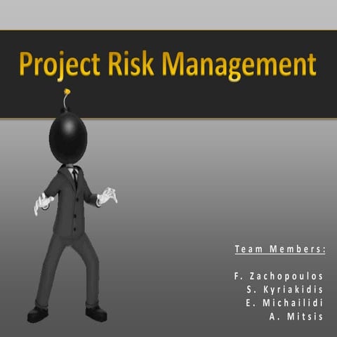 Risk Management Assignment | PPTX