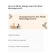 Risk Management Assignment | PDF