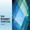 Risk Management Consulting | Ibex Systems | PPT