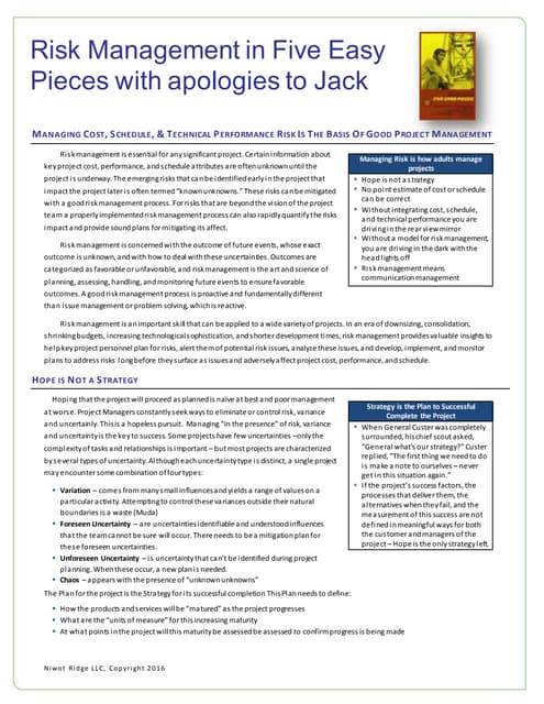 Acumen Risk Workshops Overview | PDF