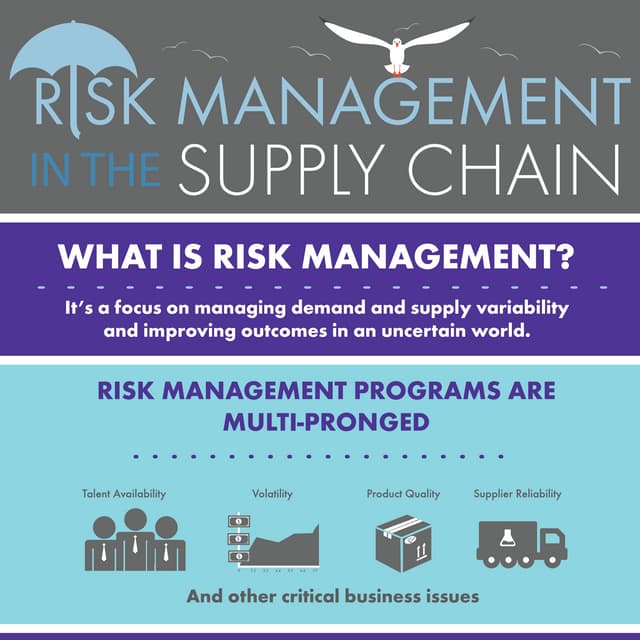 Risk management | PDF