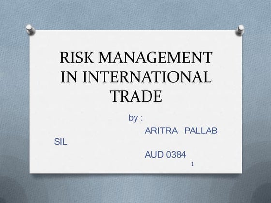 International business risk | PPTX